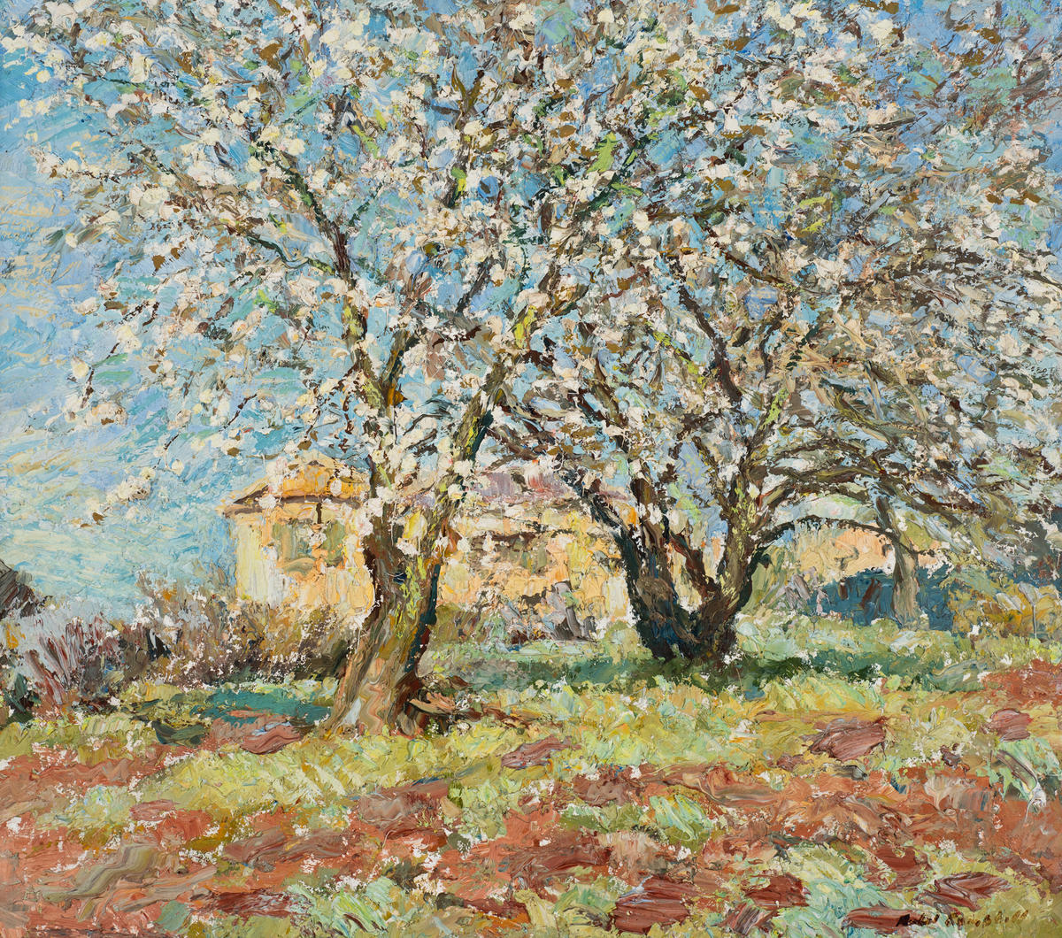 Orchard in Spring - Castlemaine Art Museum